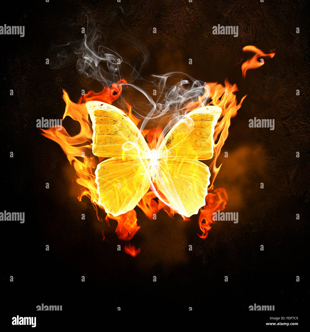 Papillon de feu Banque de photographies et d’images à haute résolution ...