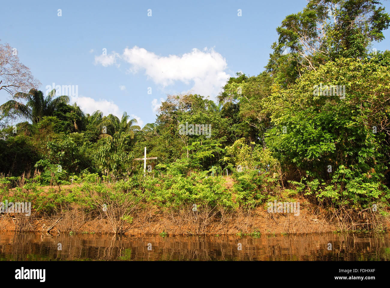 Amazon rainforest brazil landscape Banque de photographies et d’images ...