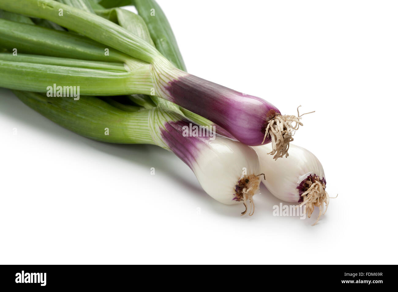 Oignons rouges sur fond blanc Banque de photographies et d’images à ...