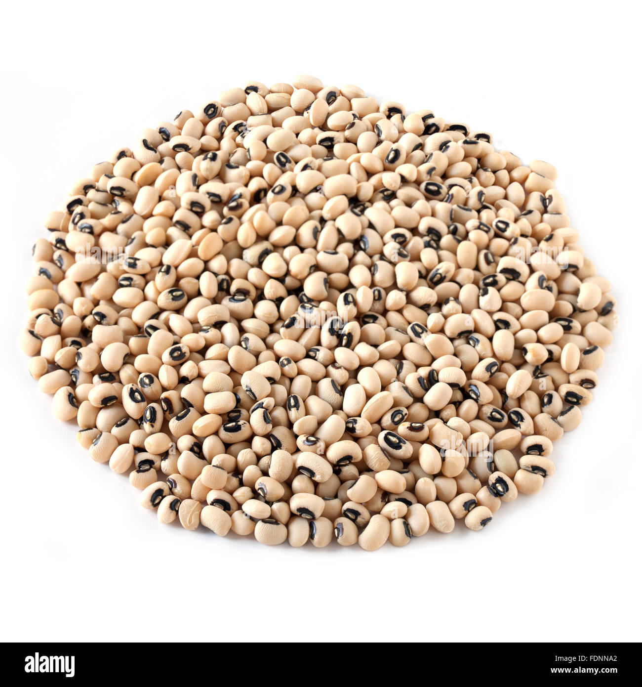 Black eyed pea Banque de photographies et d’images à haute résolution - Alamy