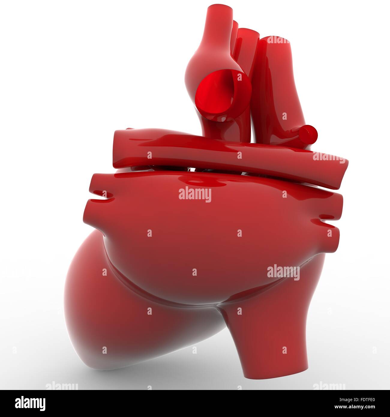Anatomie du corps humain et du coeur 3d Banque de photographies et d ...