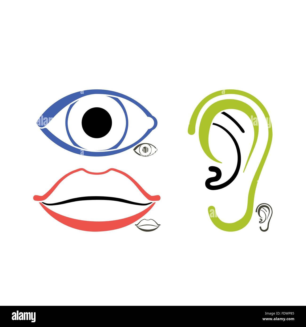 Symboles de l'anatomie humaine d'un oeil, une bouche, une oreille Image ...