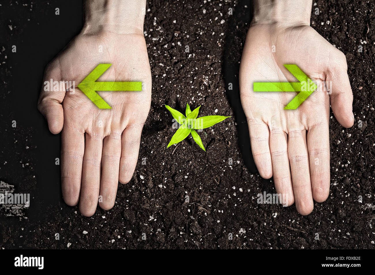 La main de l'homme tenant une pousse verte et l'écologie des symboles ...