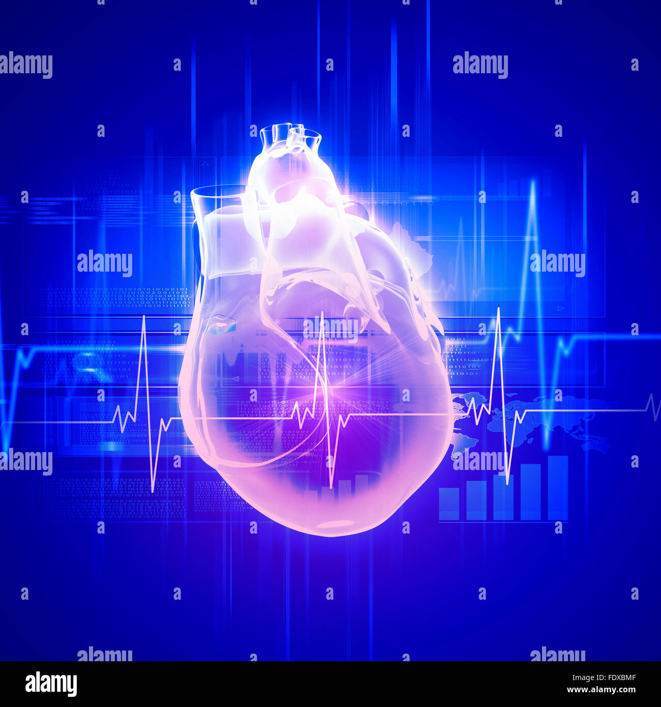Image virtuelle de coeur humain avec cardiogramme Photo Stock - Alamy