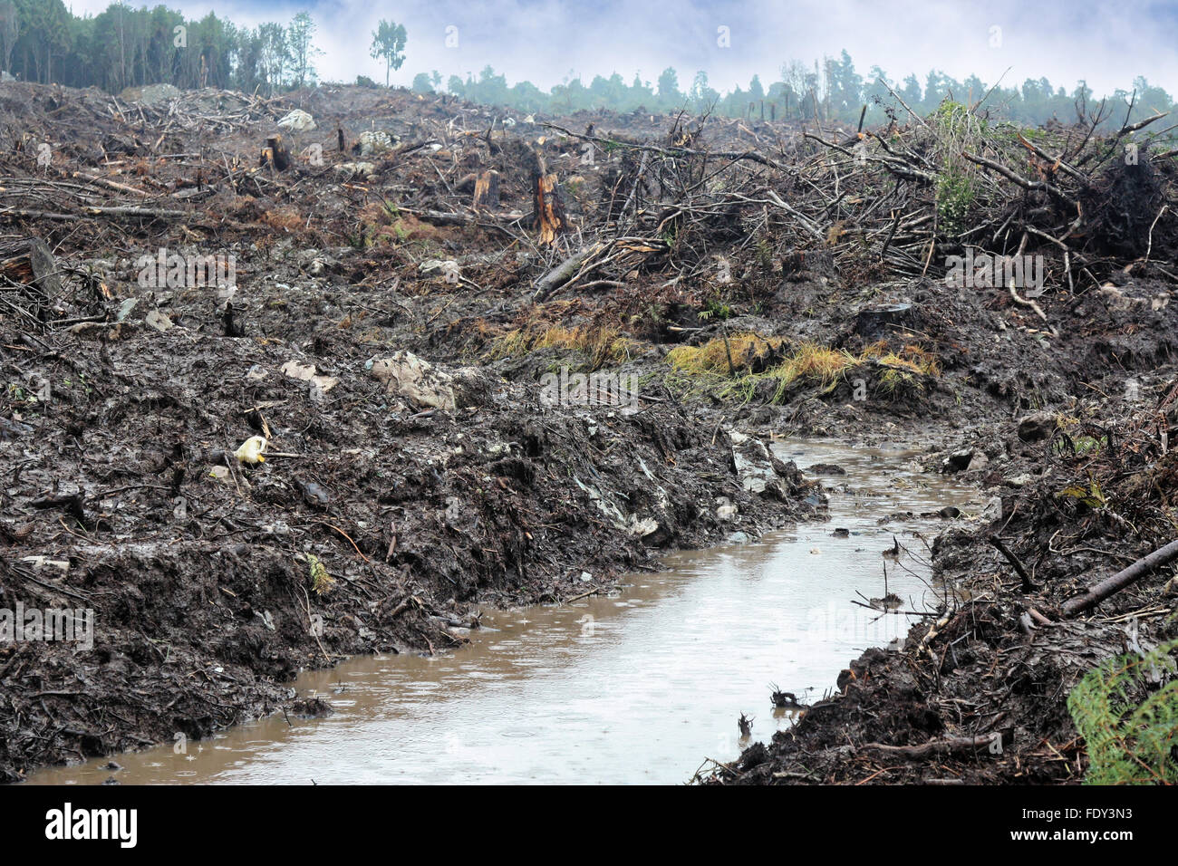 Destruction of the environment Banque de photographies et d’images à ...