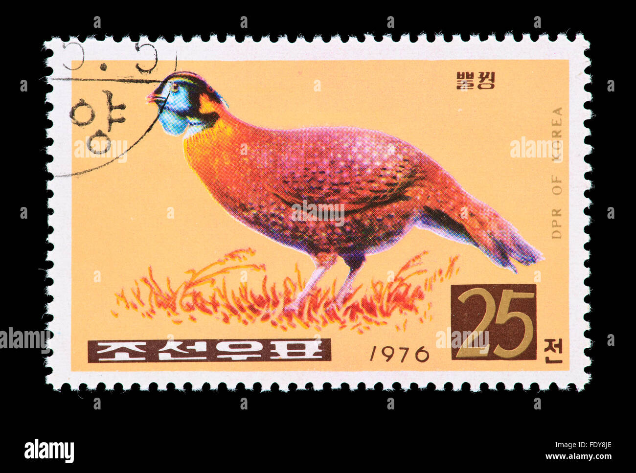 Soemmerrings faisan Banque de photographies et d’images à haute ...