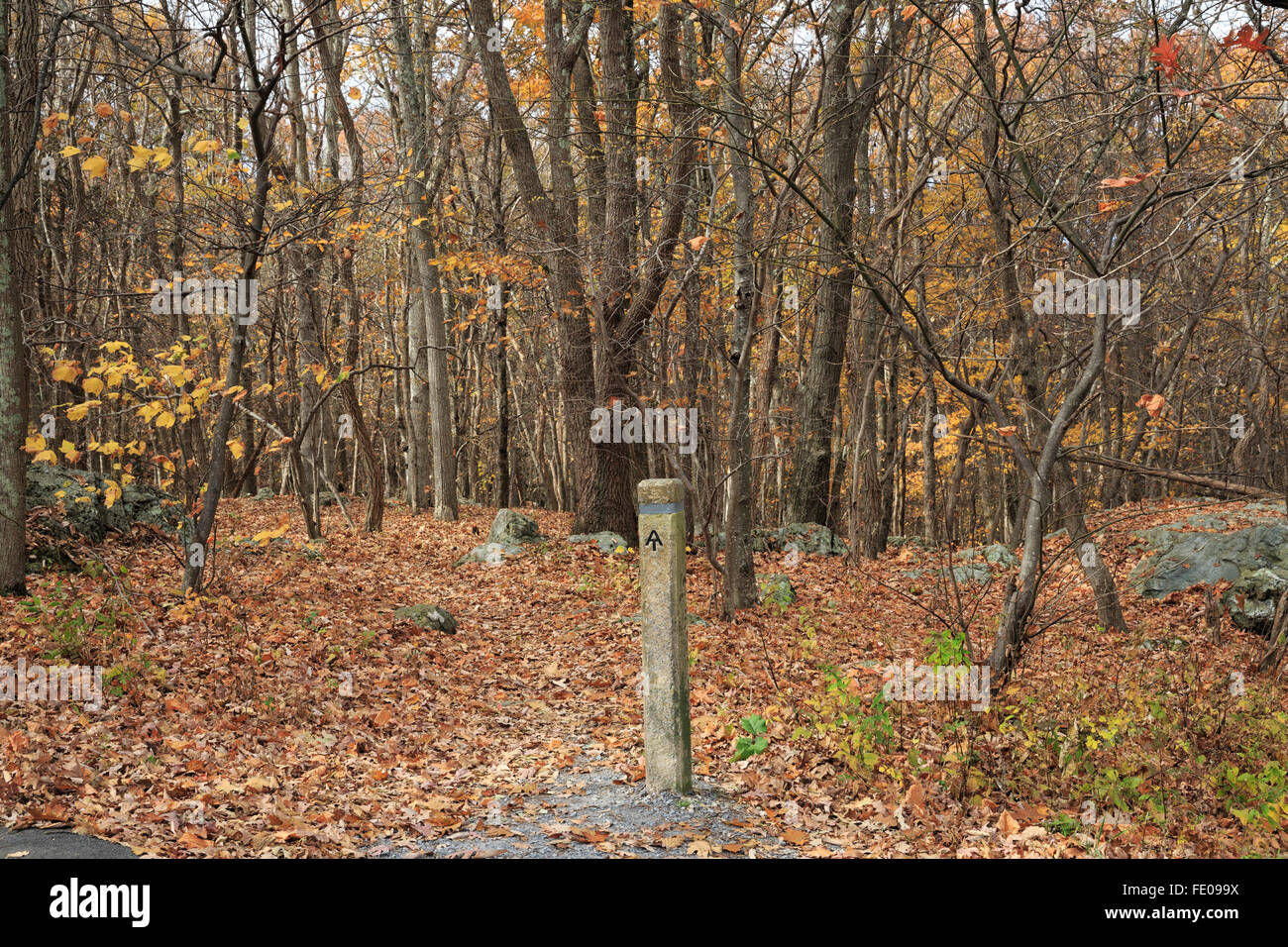 Appalachian trail Banque de photographies et d’images à haute ...