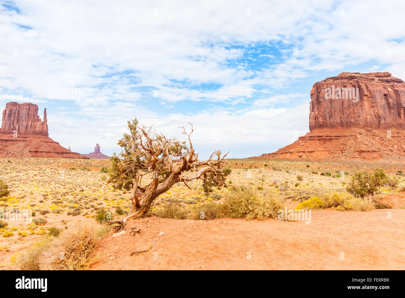 Formes tordues Banque de photographies et d’images à haute résolution ...
