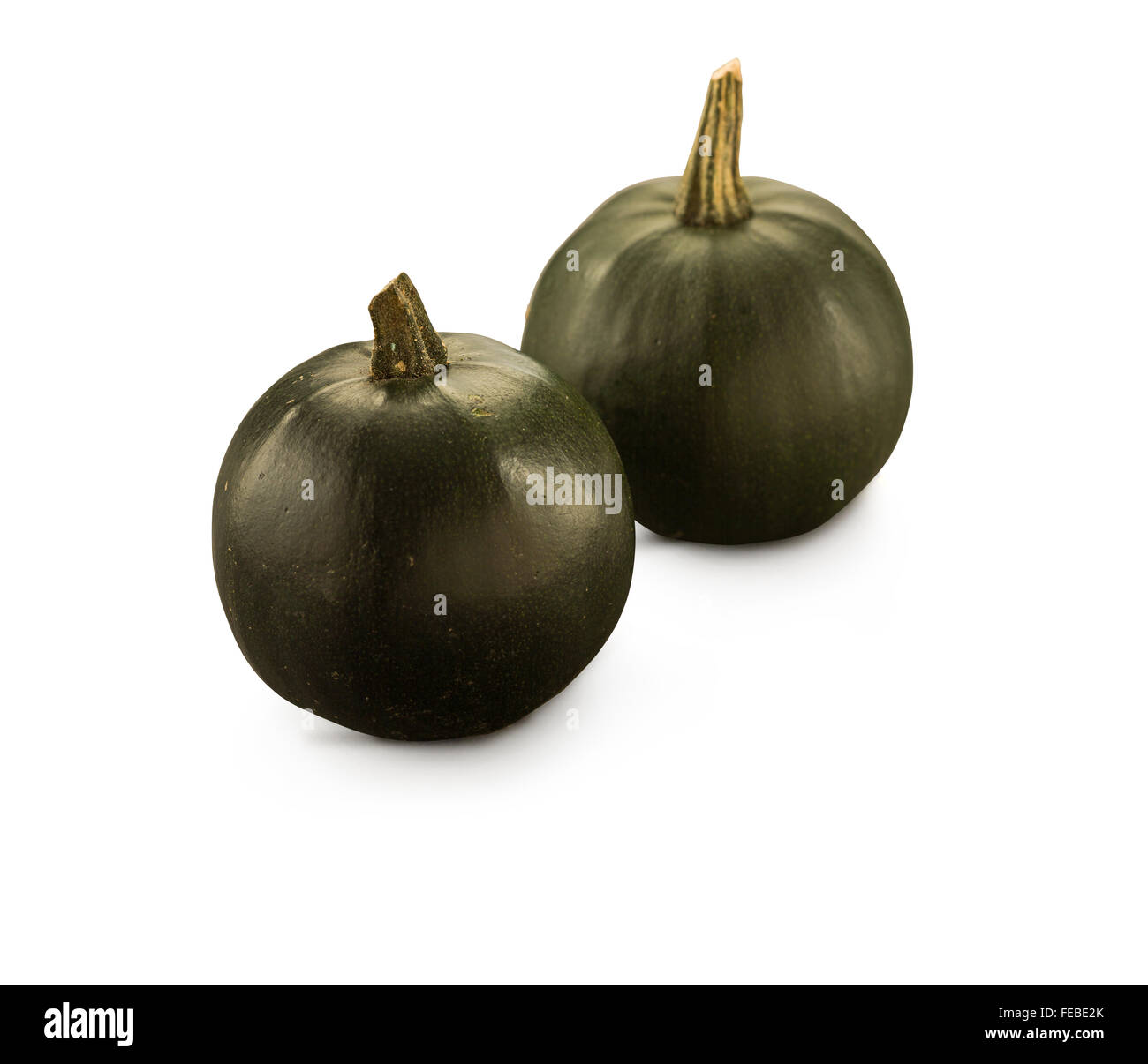 Courge gemme rolet Banque de photographies et d’images à haute ...