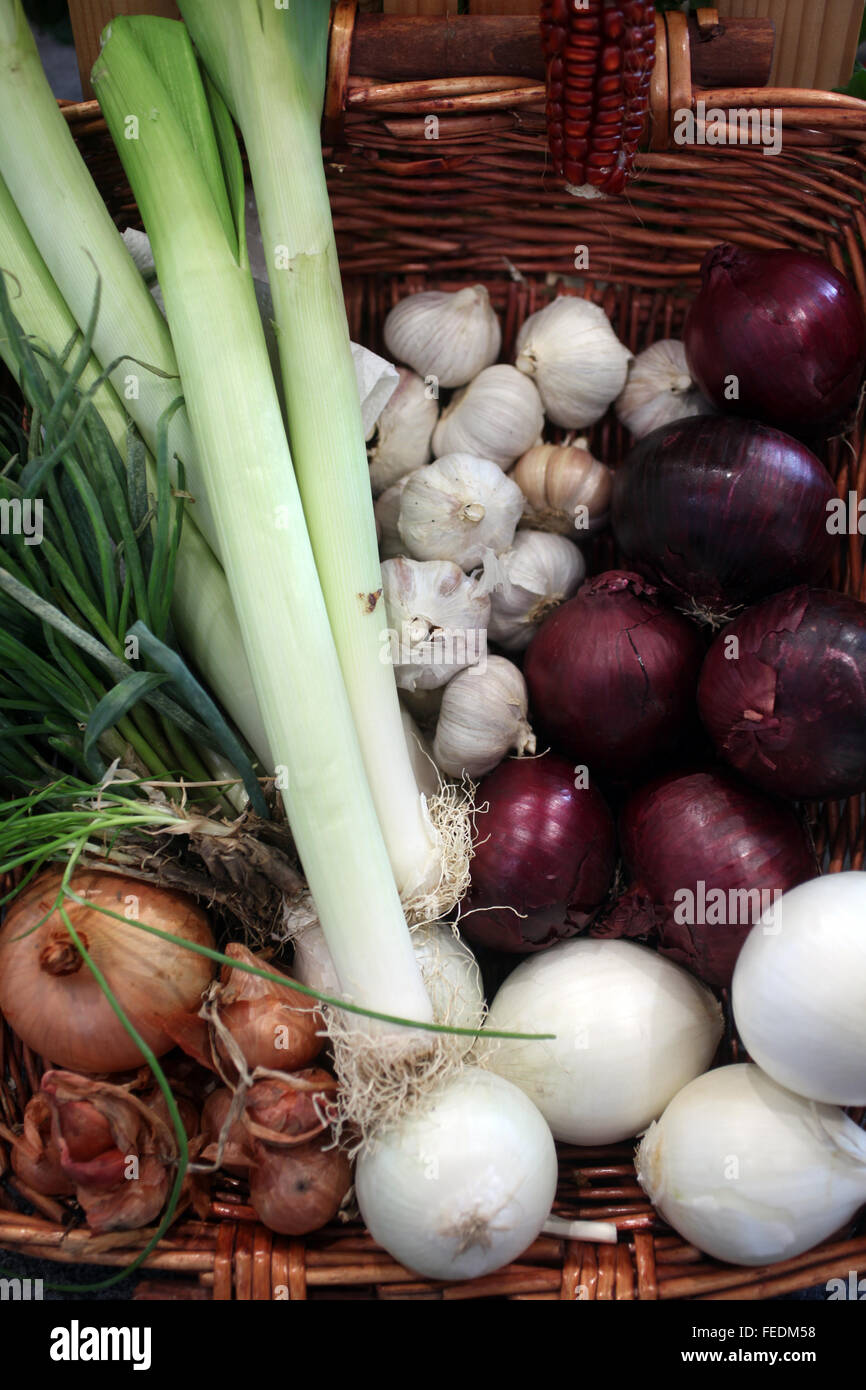 Ail et oignons rouges Banque de photographies et d’images à haute ...