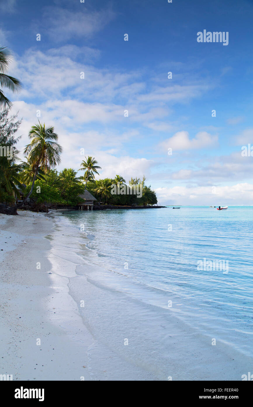Plage de Matira, Bora Bora, îles de la société, Polynésie Française ...