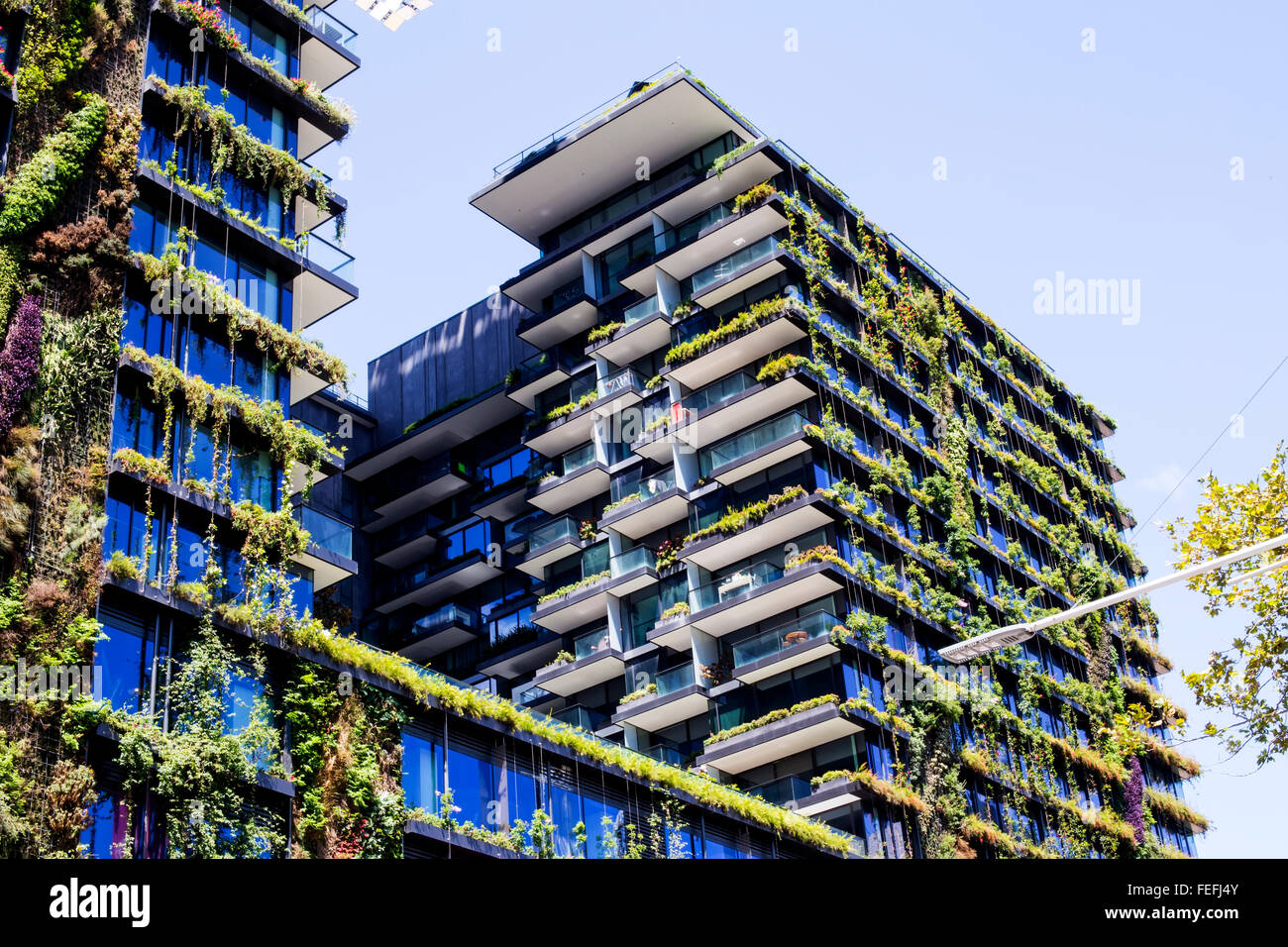 Construire des jardins verticaux Banque de photographies et d’images à ...