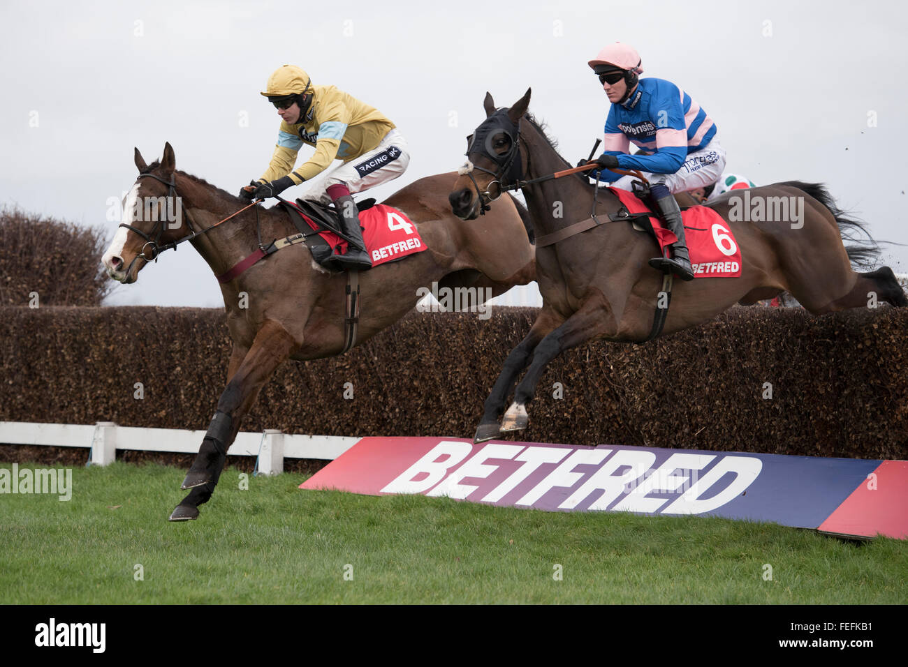Ulck du lin Banque de photographies et d’images à haute résolution - Alamy