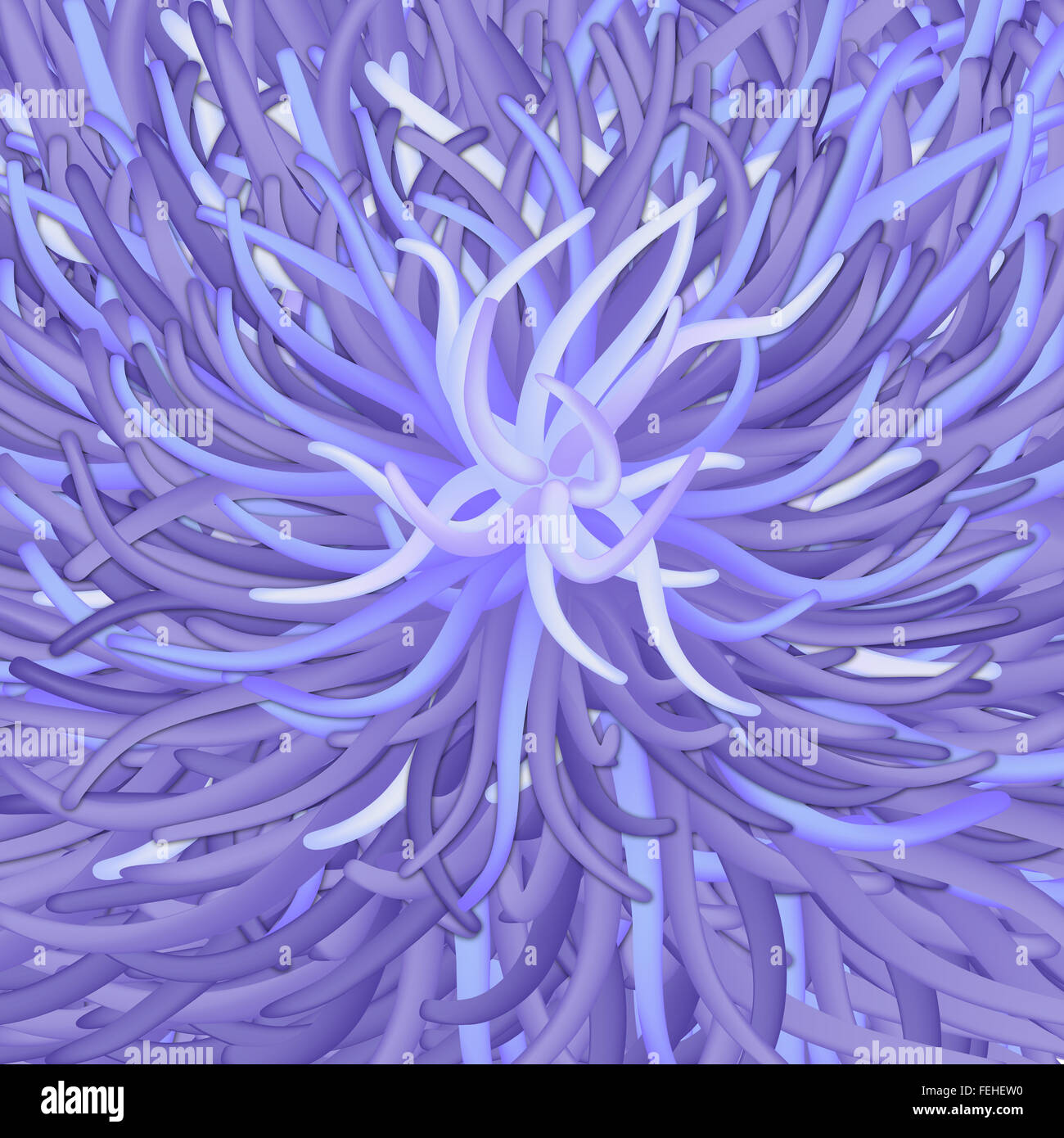 Sea anemone sea flower Banque de photographies et d’images à haute résolution - Alamy