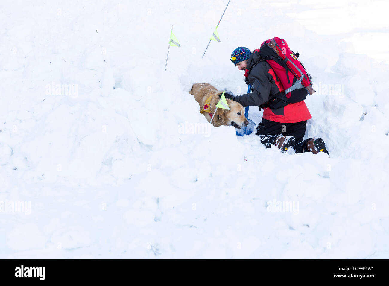 Sauveteur de la croix rouge Banque de photographies et d’images à haute ...