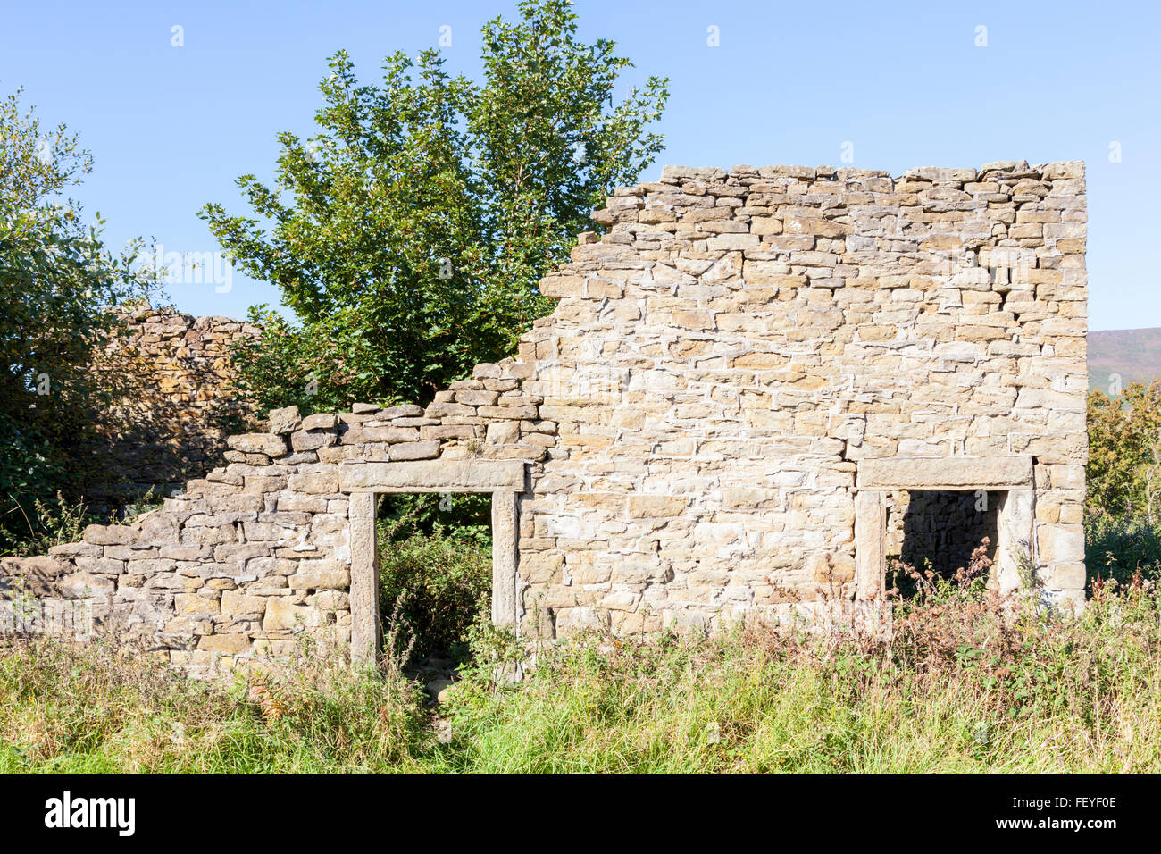 Arbre qui pousse sur une ruine Banque de photographies et d’images à ...