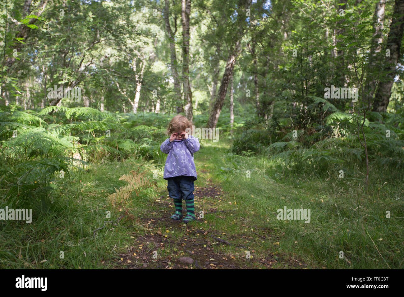 Enfant qui pleure Banque de photographies et d’images à haute ...