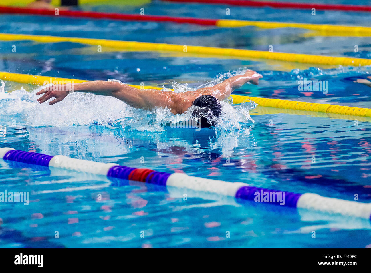 Nageuse piscine Banque de photographies et d’images à haute résolution ...