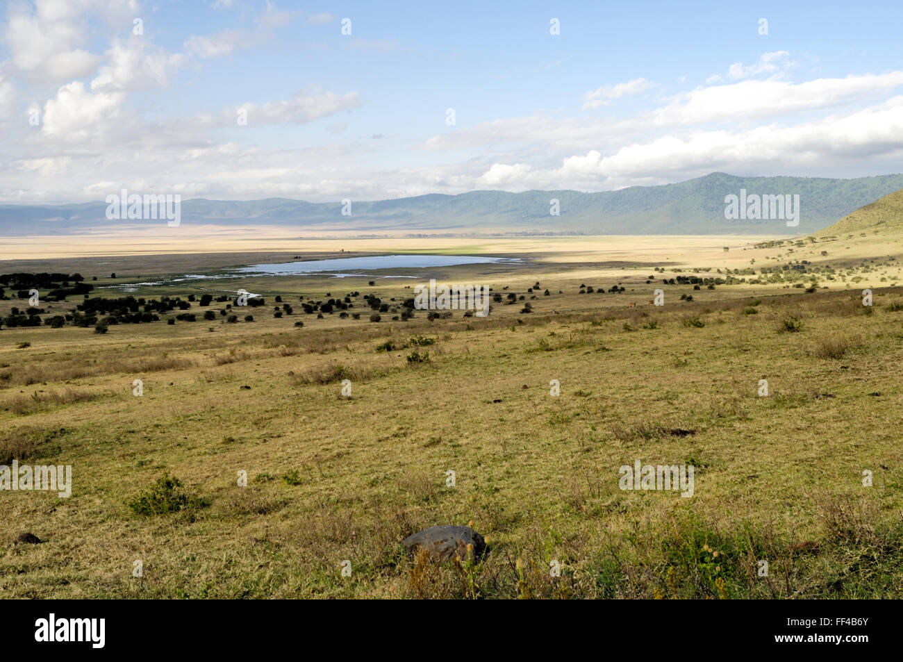 Lac magadi Banque de photographies et d’images à haute résolution - Alamy