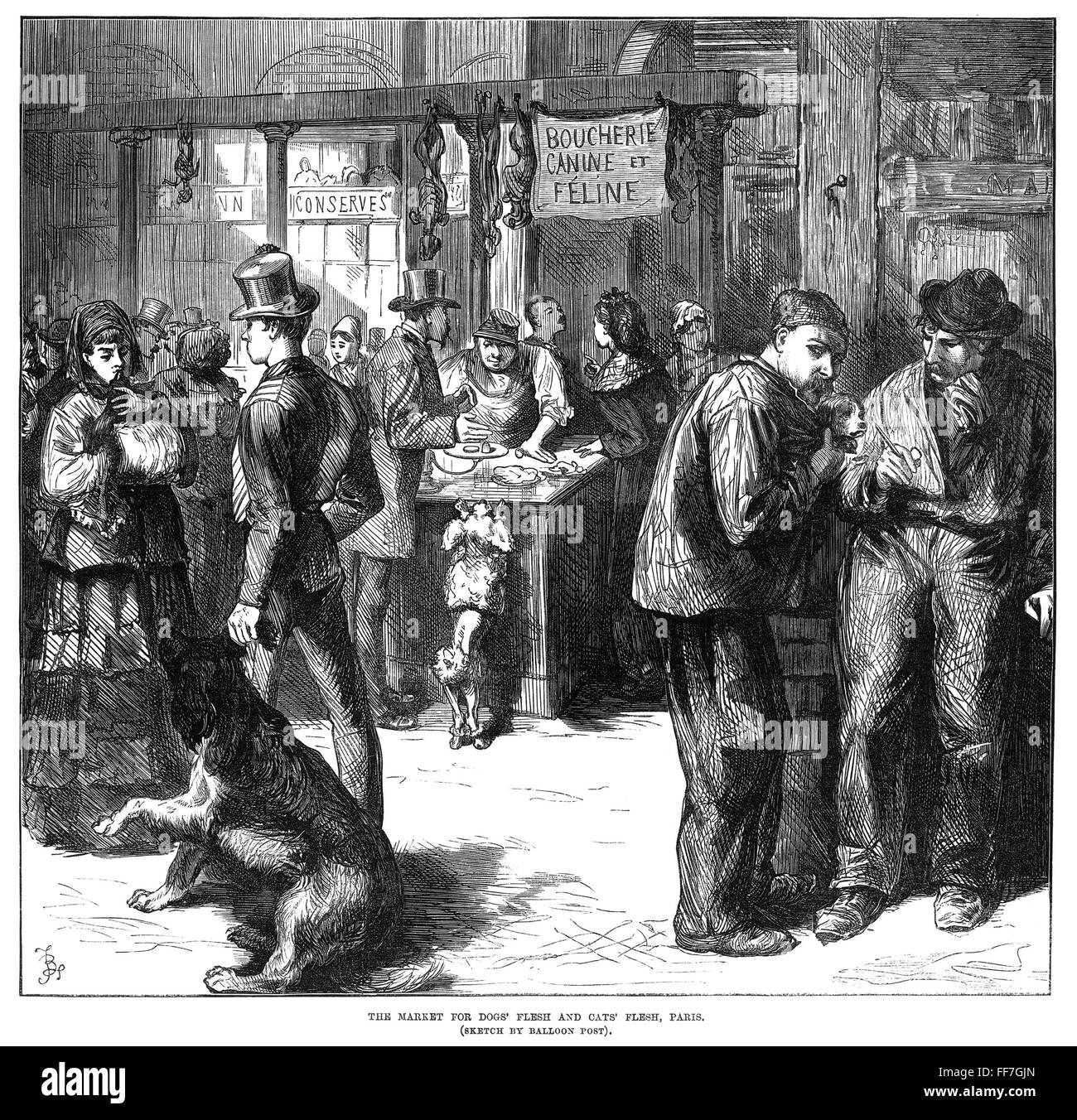 The famine in paris Banque de photographies et d’images à haute ...