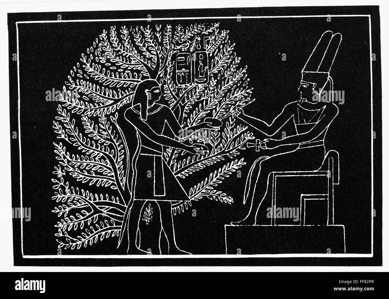 Arbre PERSEA égyptien. /Nla dieux écrit sur les feuilles de l'arbre ...