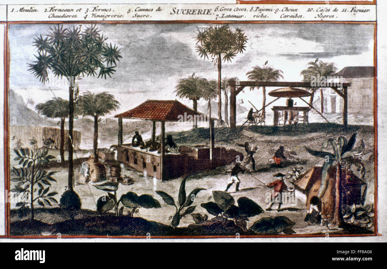 Antilles : ESCLAVES. /NSlaves sur une plantation de canne à sucre dans ...