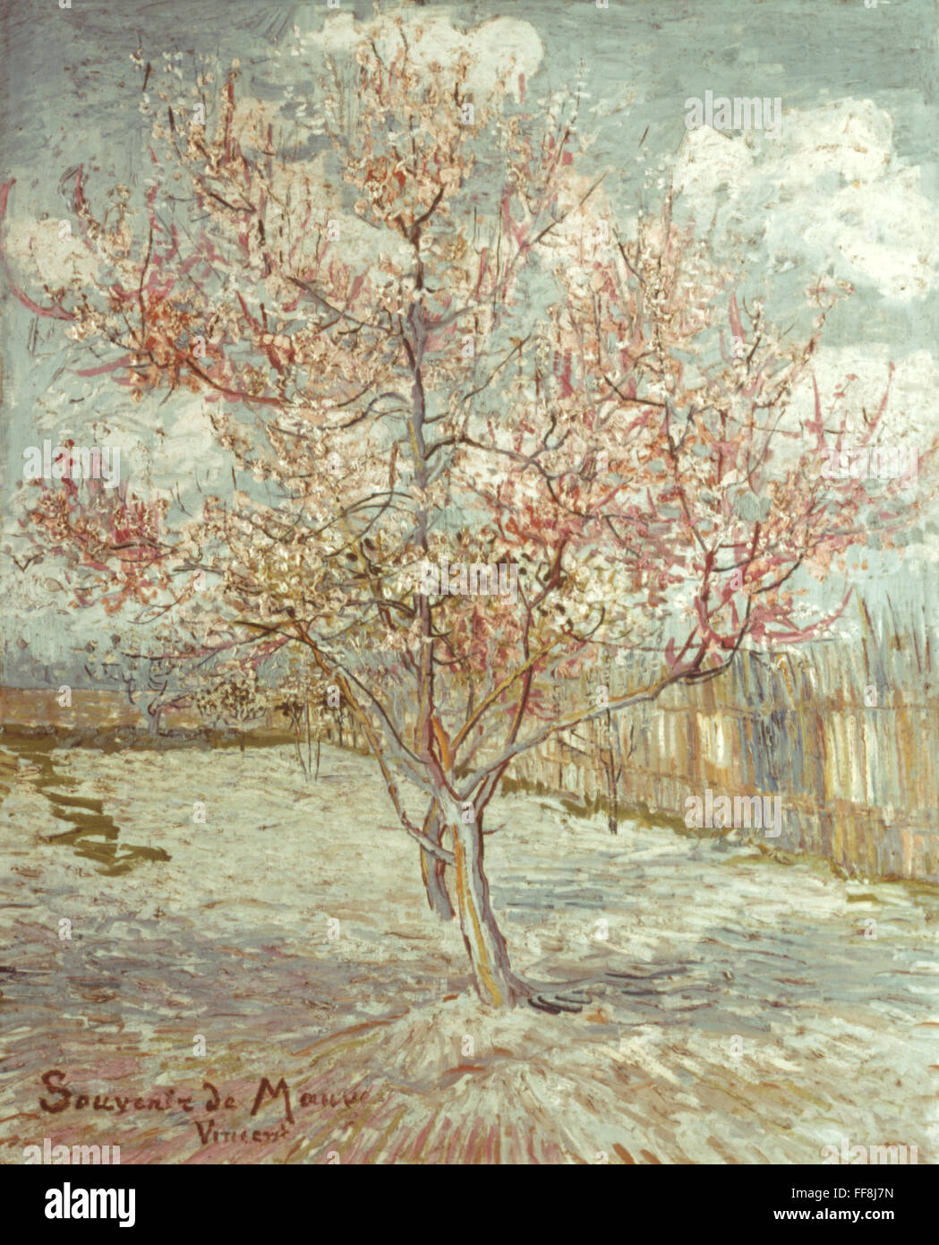 Peach tree van gogh Banque de photographies et d’images à haute ...