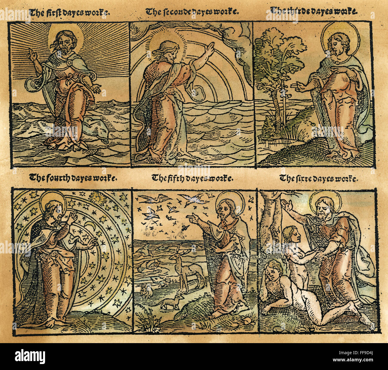 BIBLE : la création. /NWoodcut de Miles Coverdale's Bible, 1535 ...