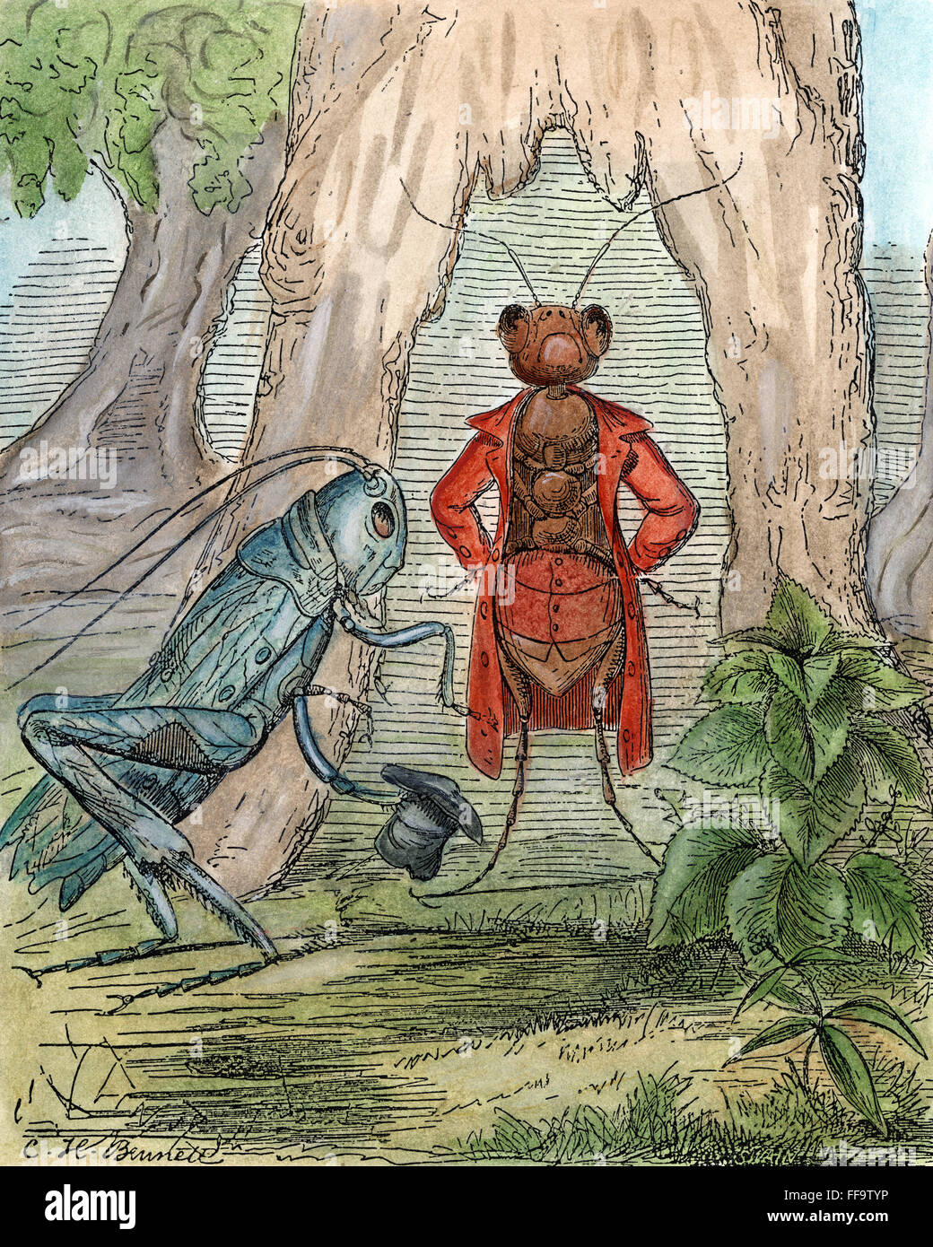 Esope : GRASSHOPPER & ANT. /Nla la sauterelle et la fourmi. Dessin ...
