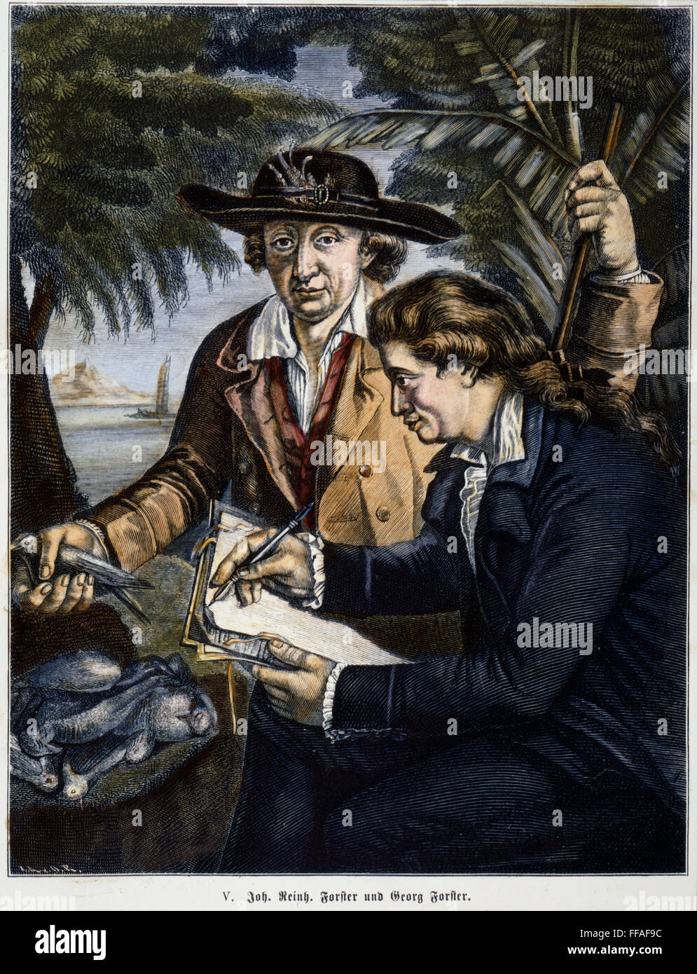 Gravure du capitaine james cook Banque de photographies et d’images à ...