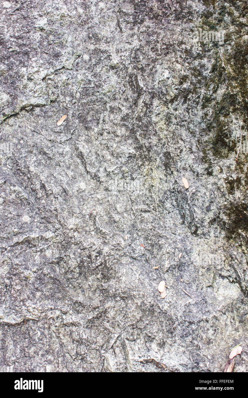 Rock texture Banque de photographies et d’images à haute résolution - Alamy