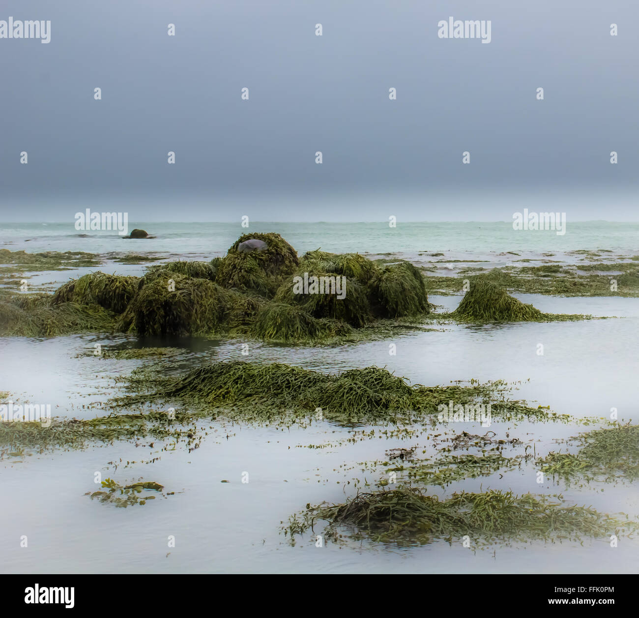 Vert de mer Banque de photographies et d’images à haute résolution - Alamy