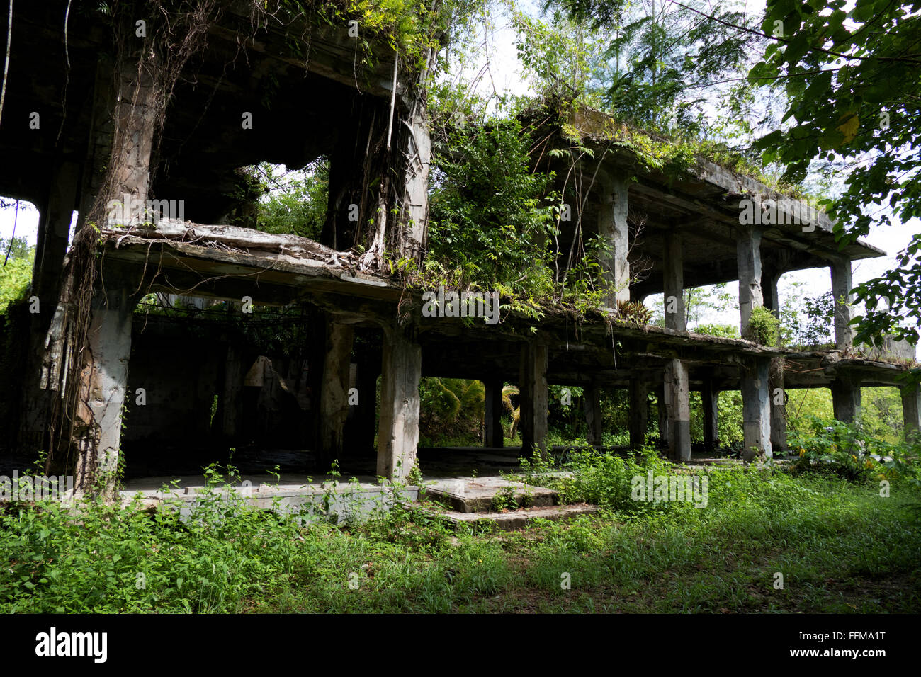 Siège de l'armée japonaise. Bataille de Peleliu, Palau 1944 (opération ...