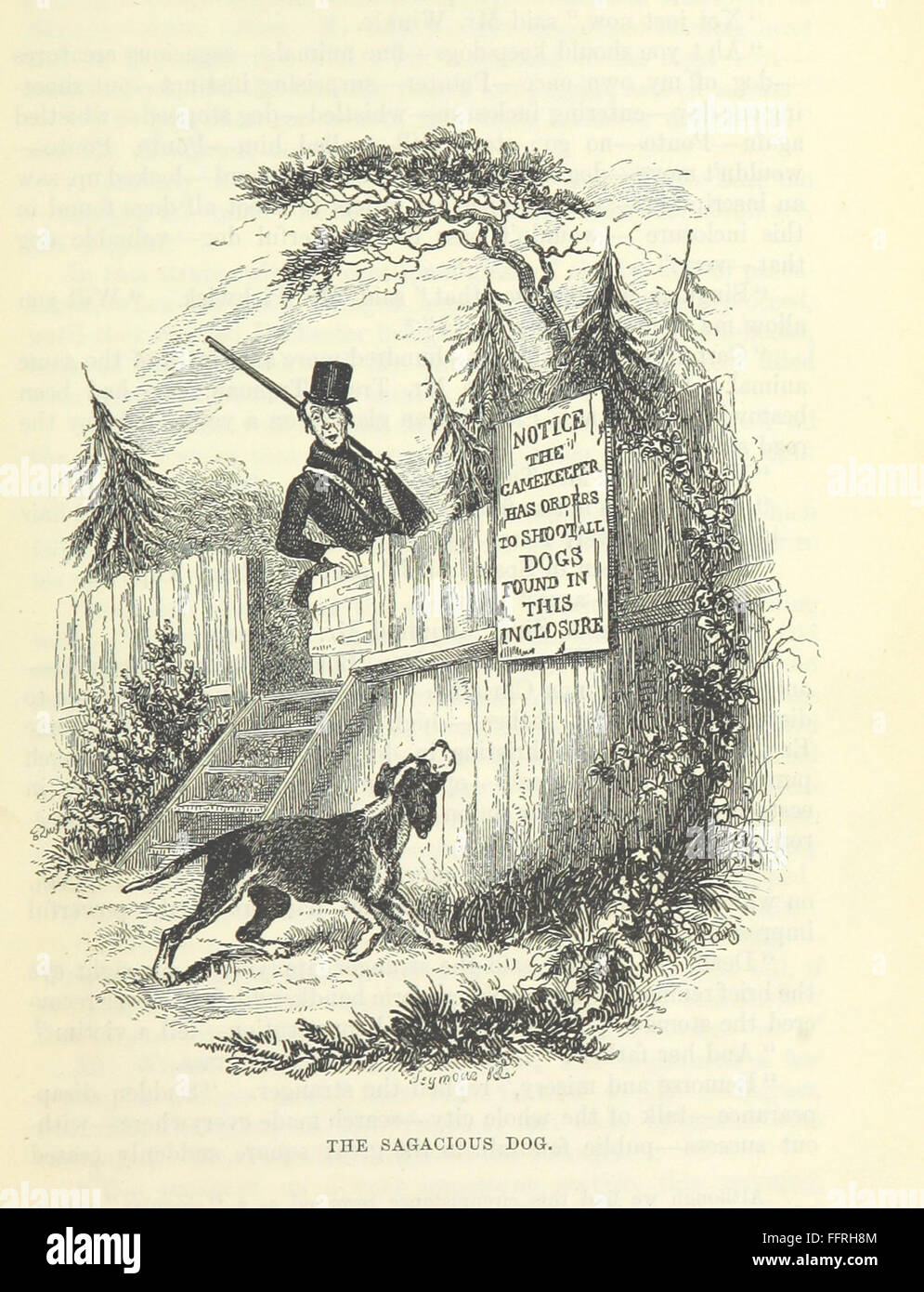 Ce volume rassemble des lettres écrites par Charles Dickens, offrant un ...