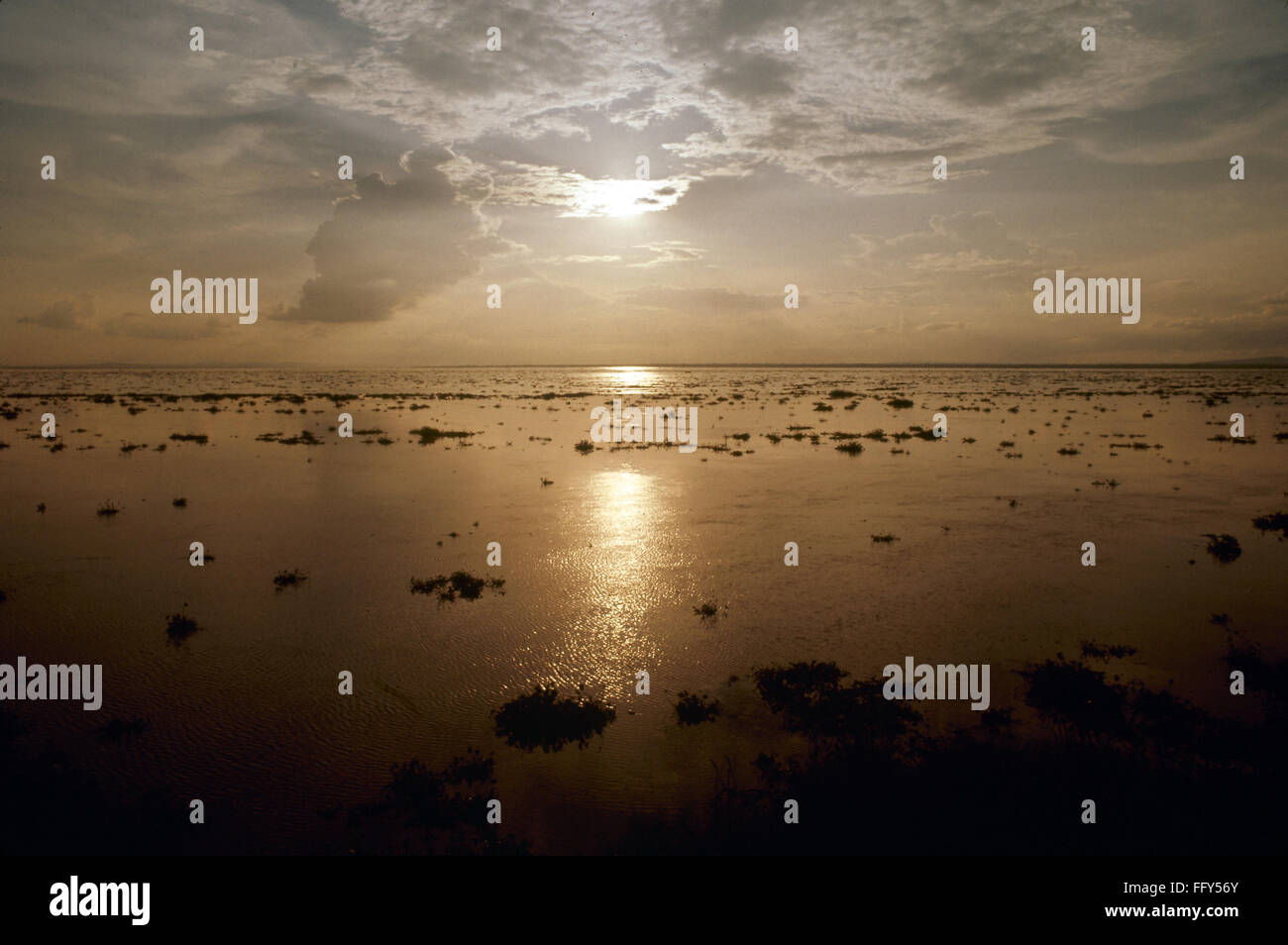 CONGO : CONGO RIVER. /NSunset sur le fleuve Congo près de Kinshasa ...