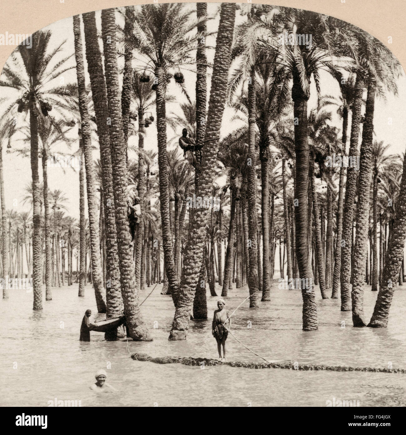 Egypte : INONDATION, c1898. /NA inondation du Nil au Caire, Égypte ...