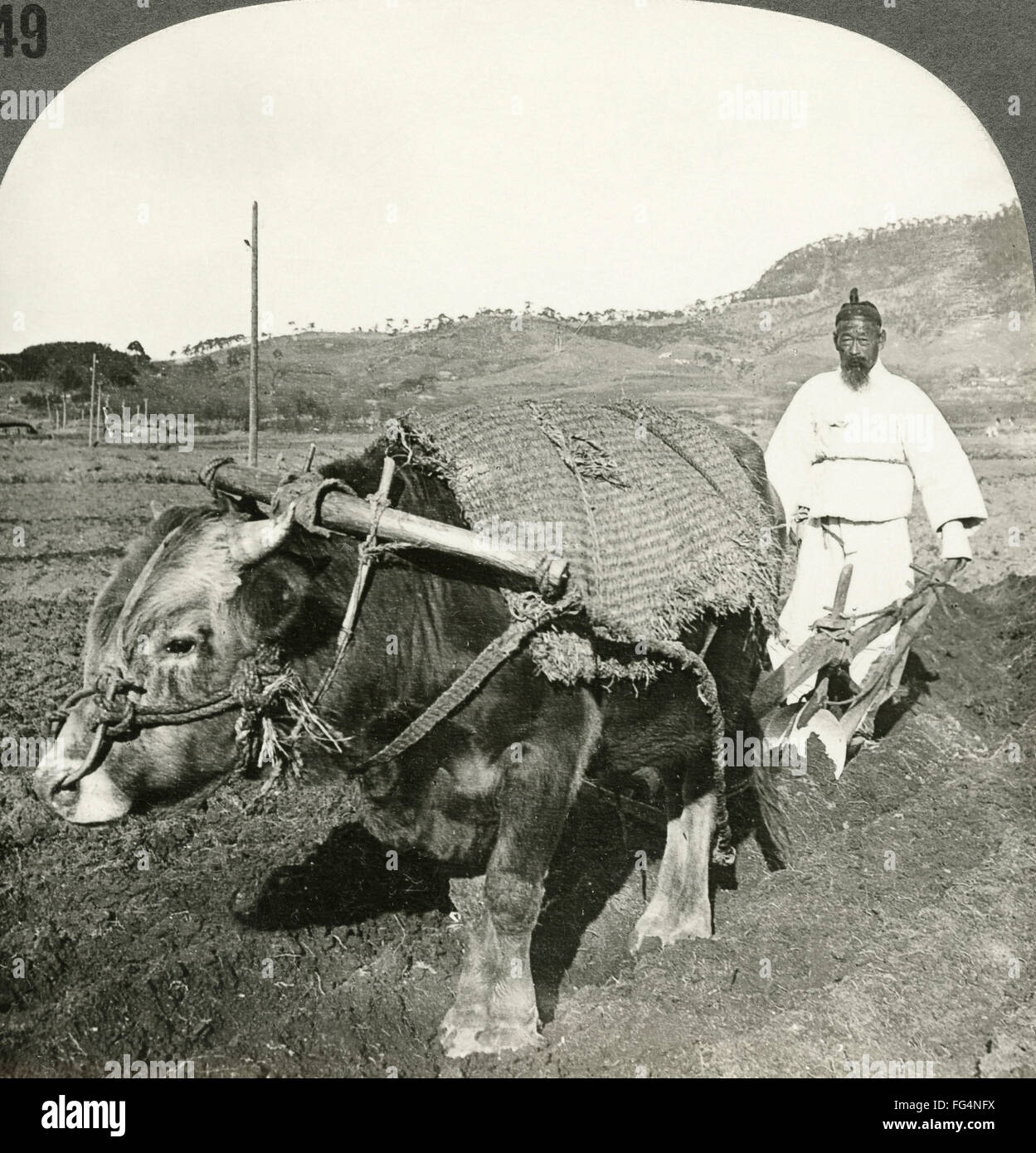 1890s farming farm Banque de photographies et d’images à haute ...