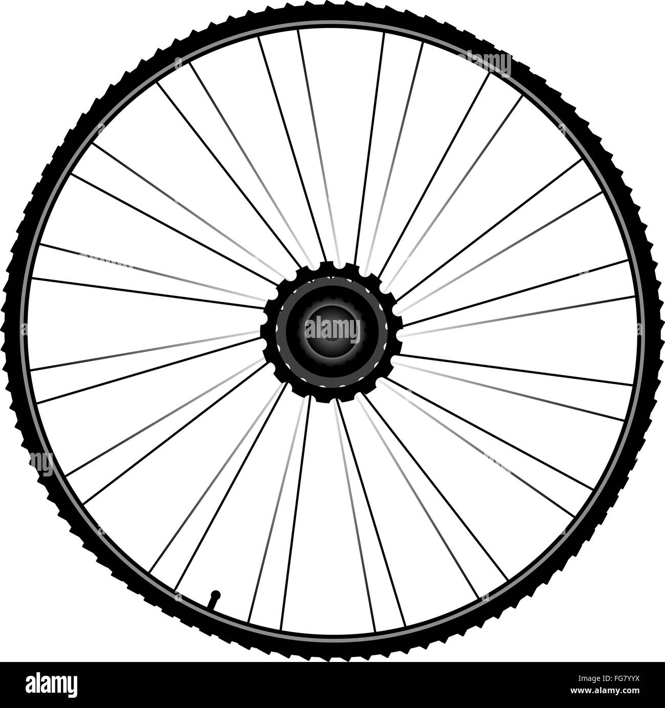 Roue de vélo avec des rayons et des pneus isolé sur fond blanc Photo ...