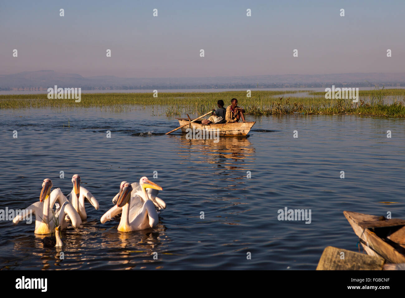 Vente de poisson en afrique Banque de photographies et d’images à haute ...
