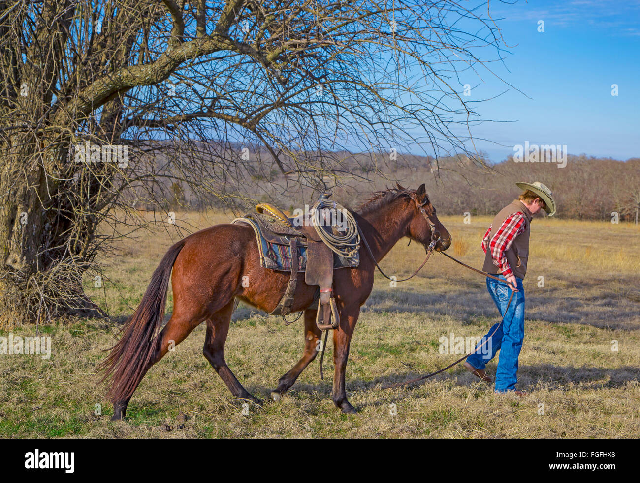 Cow boy et son cheval Banque de photographies et d’images à haute ...
