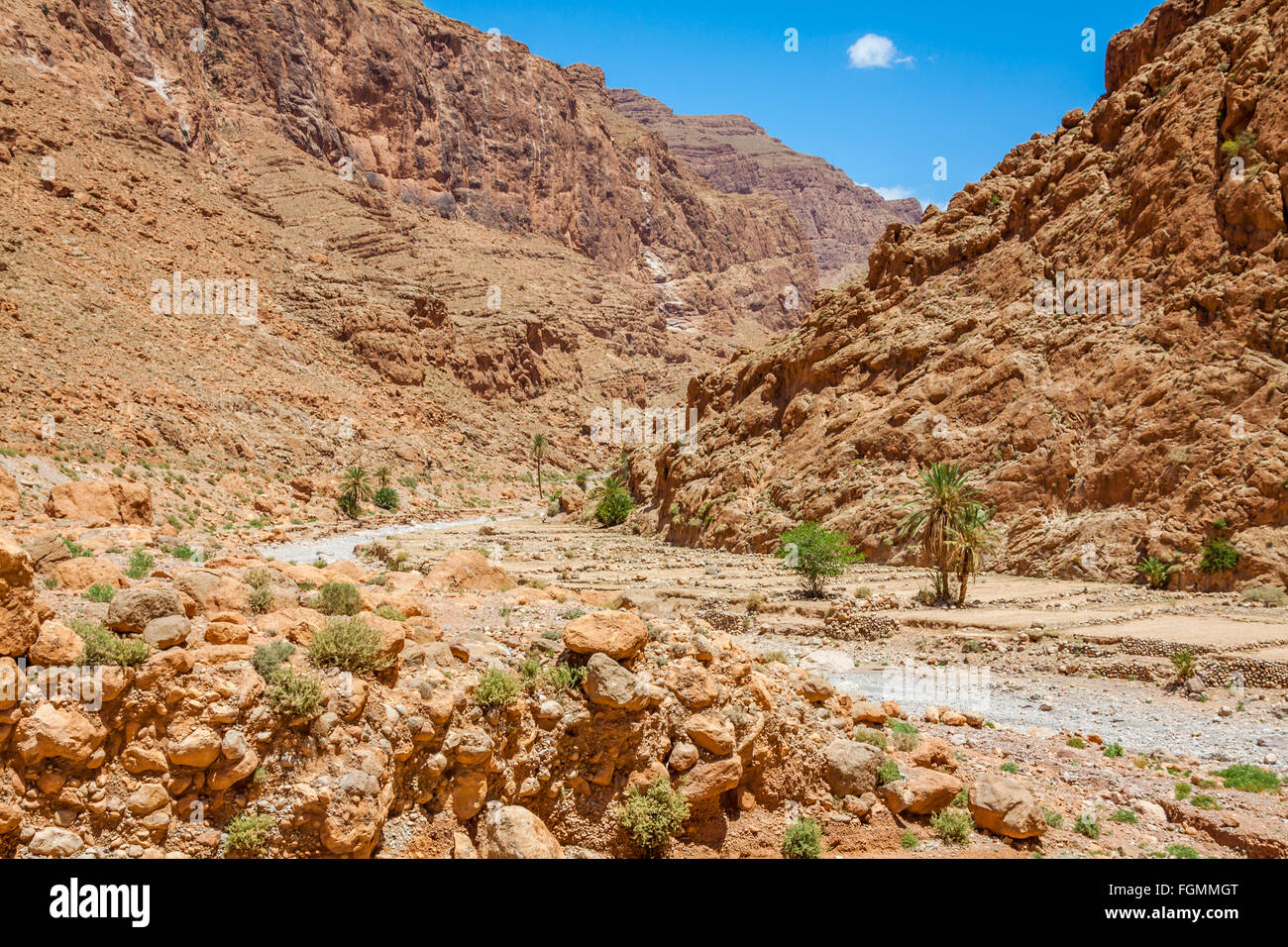 Canyon arabe Banque de photographies et d’images à haute résolution - Alamy