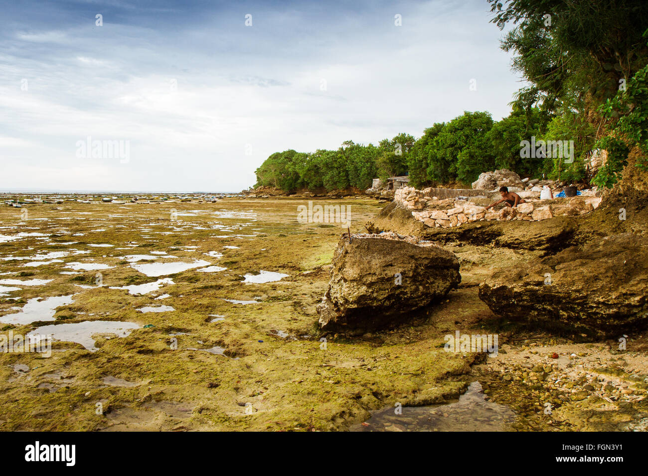 Fond marin rocheux Banque de photographies et d’images à haute ...