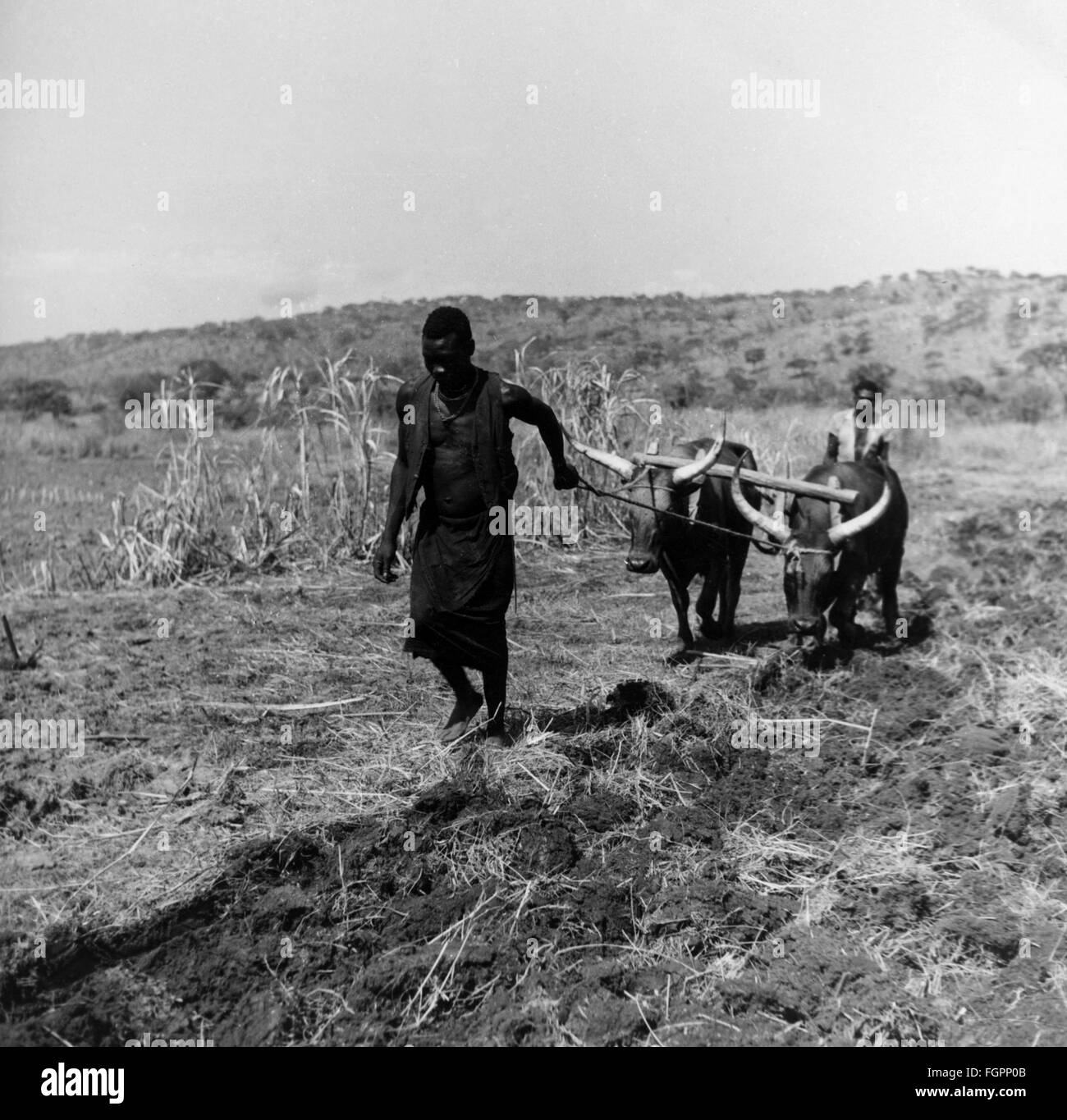 Géographie / voyage, Angola, agriculture / agriculture, agriculteurs ...