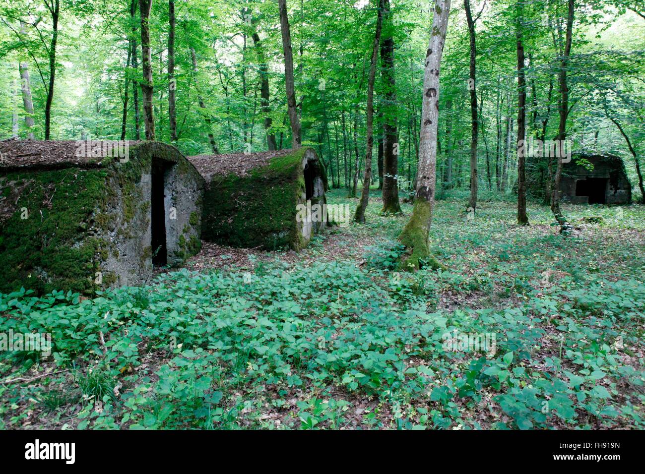 Champ de bataille de verdun Banque de photographies et d’images à haute ...