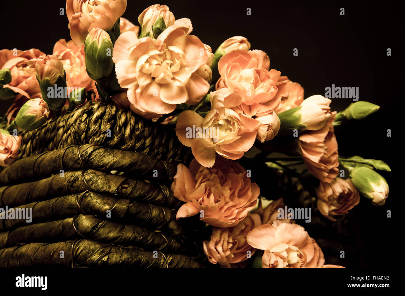 Fleur de girofle Banque de photographies et d’images à haute résolution ...