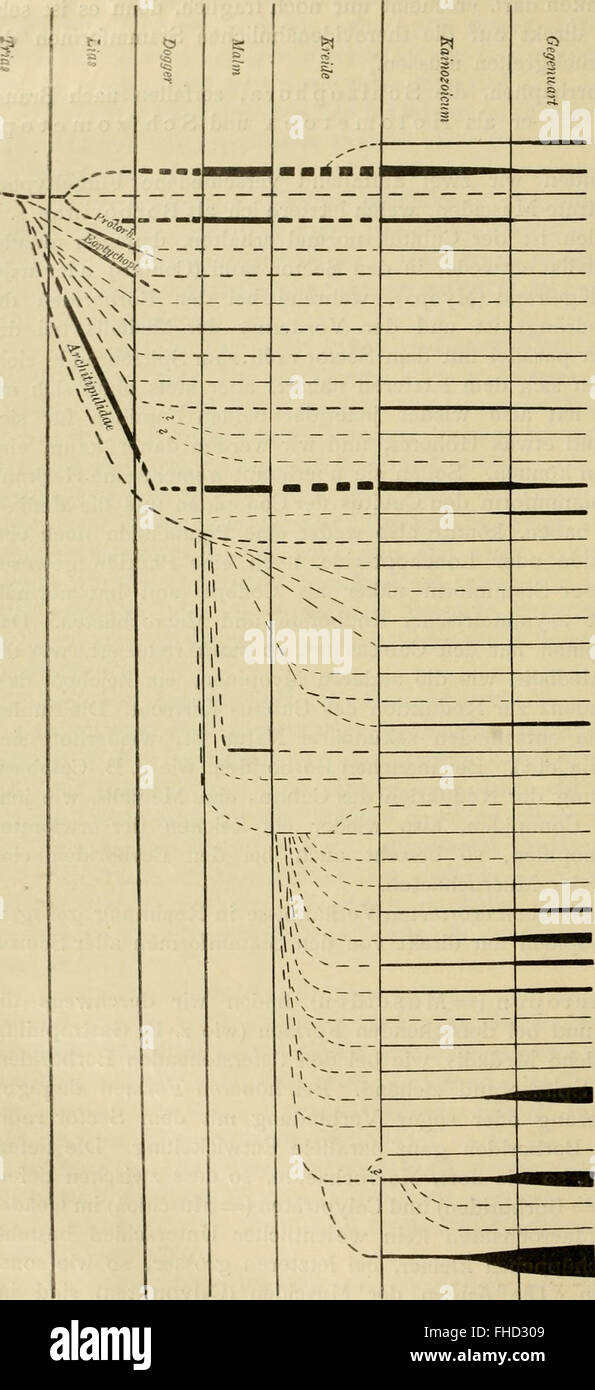 Les insectes fossiles et la phylogénie des formes actuelles, manuel ...