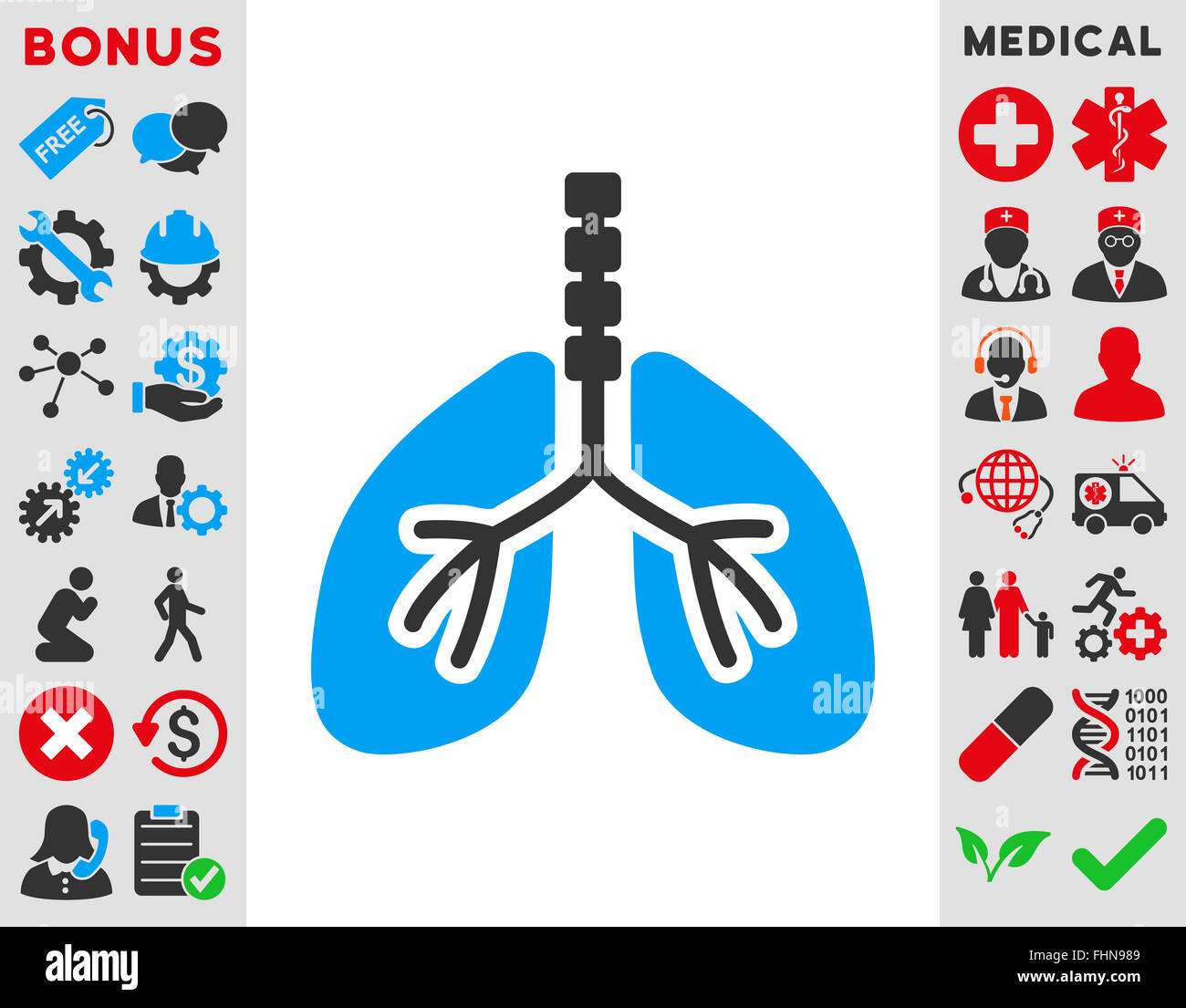 Pulmones pulmones Banque de photographies et d’images à haute ...