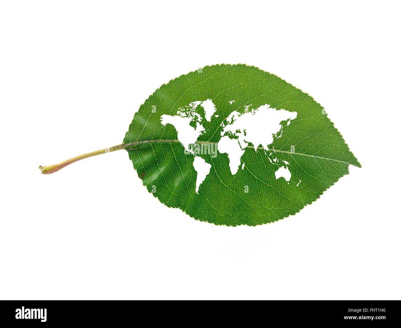 Carte de la feuille Banque d'images détourées - Alamy