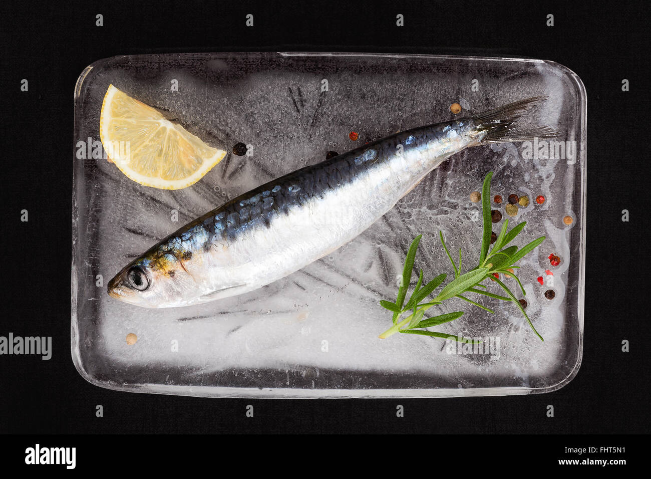 Poissons d'anchois Banque de photographies et d’images à haute ...