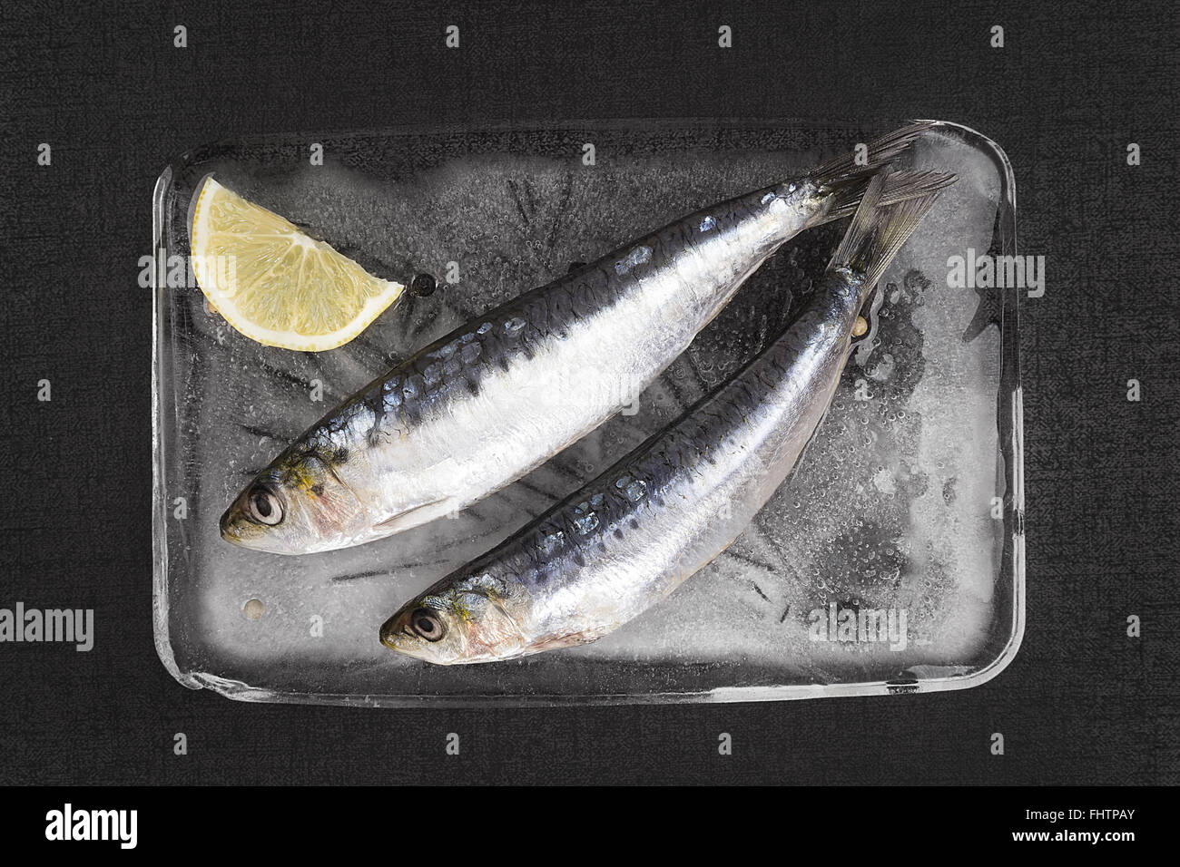 Poisson d'anchois Banque de photographies et d’images à haute ...